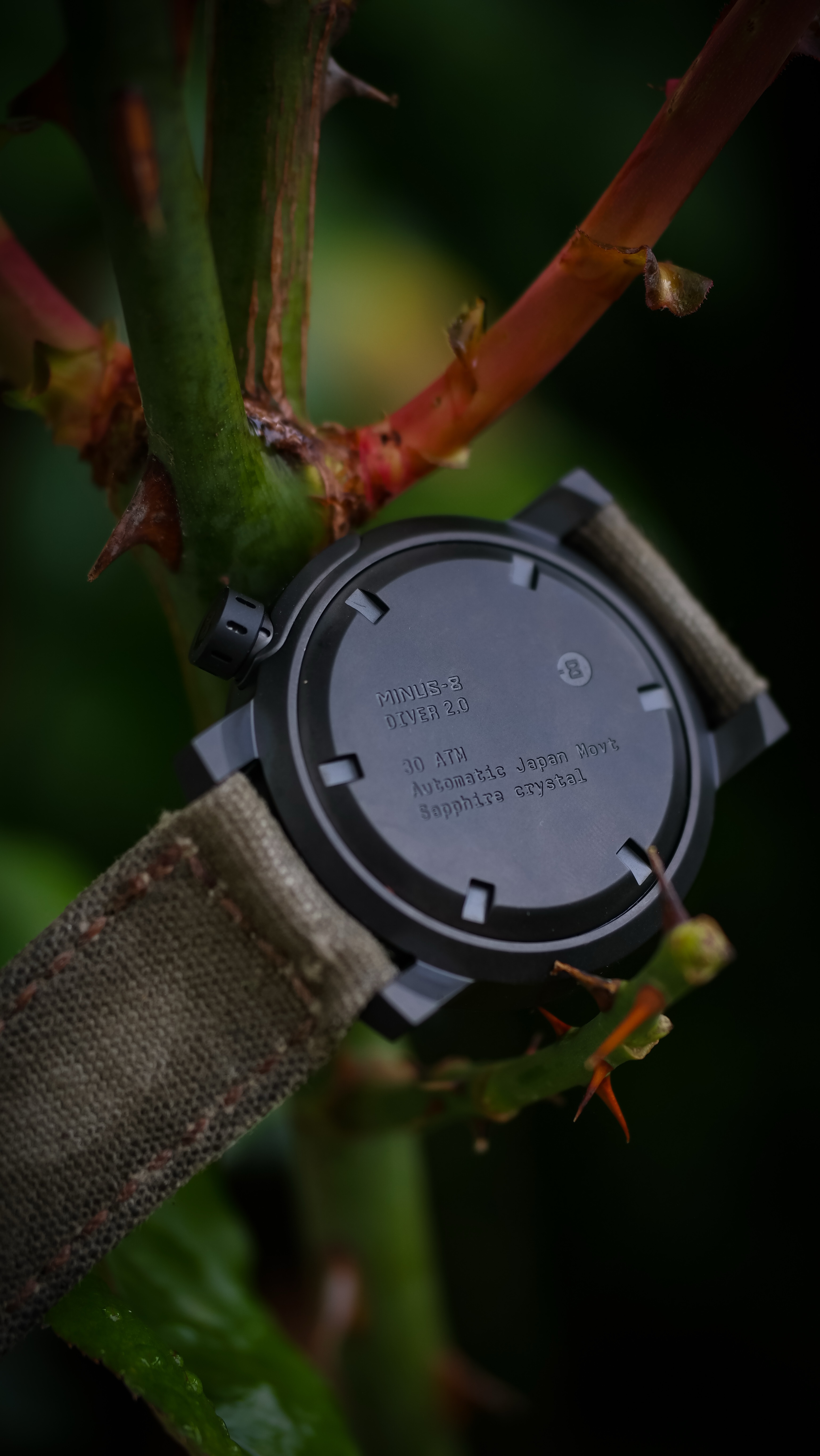 Watch Review: Minus 8 Diver 2.0 – Time to Blog Watches
